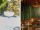 Florattica : Rooftop Brunch And Cocktails | Luxsphere
