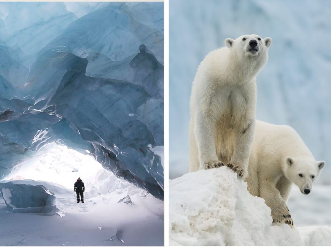 Pelorus Launches Partnership With Oceansky Cruises