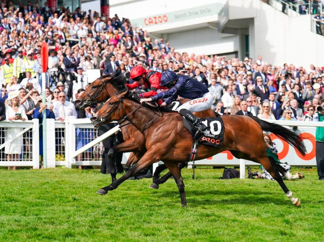 The Cheltenham Festival Guide | Luxsphere