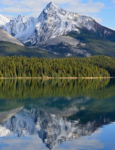 Explore Canadian Rockies By Rail - Glass Train | Luxsphere Magazine