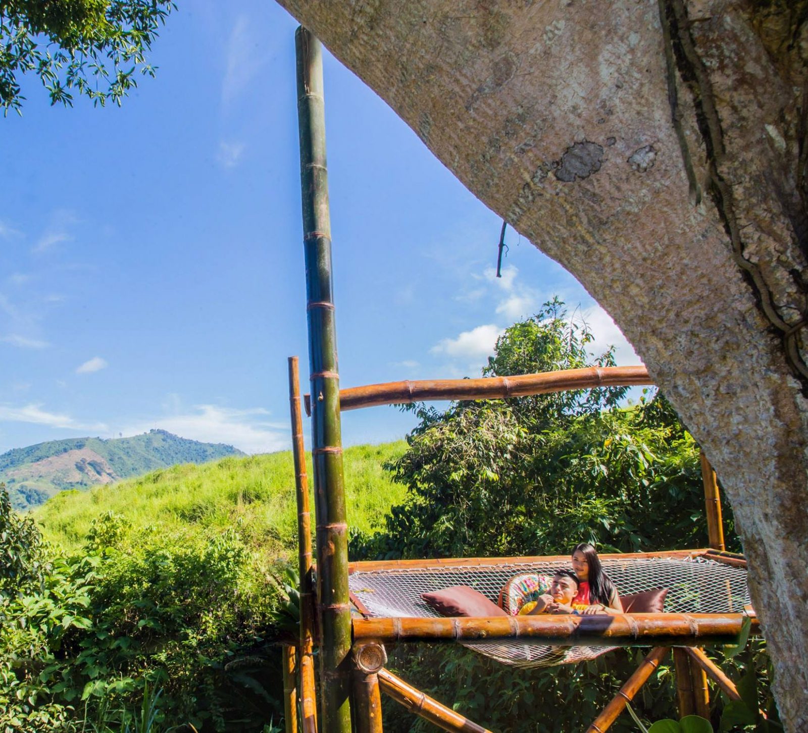 10 Stunning Hotels On A Coffee Plantation | Coffee Lovers Dream