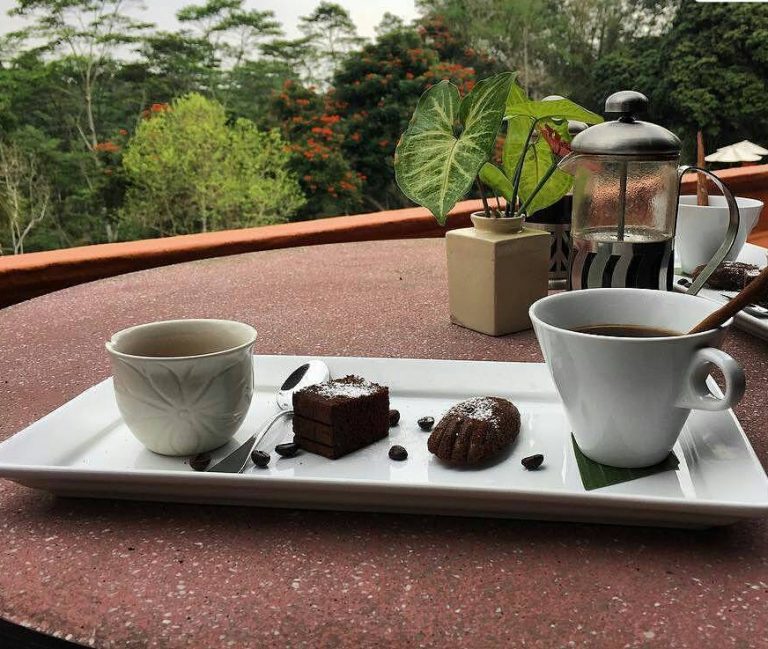 10 Stunning Hotels On A Coffee Plantation | Coffee Lovers Dream