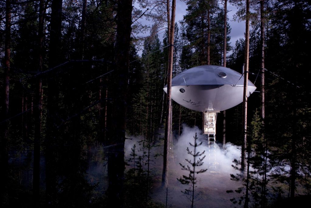 Tree Hotel : Northern Lights From A Treehouse In Lapland