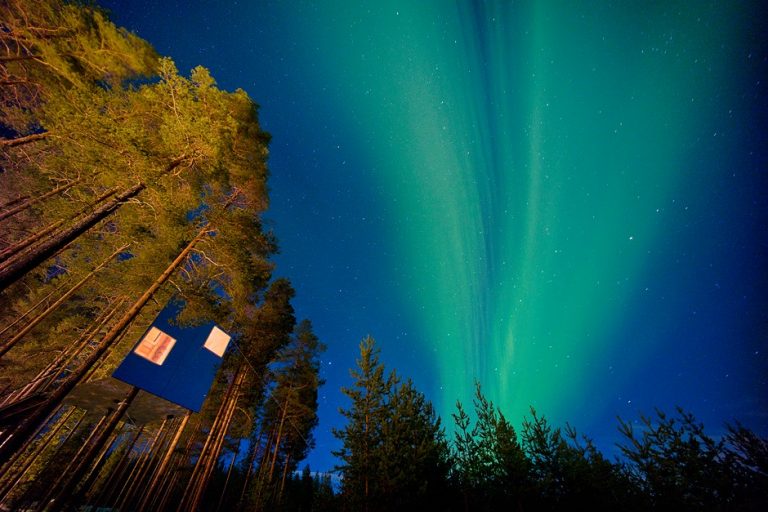Tree Hotel : Northern Lights From A Treehouse In Lapland