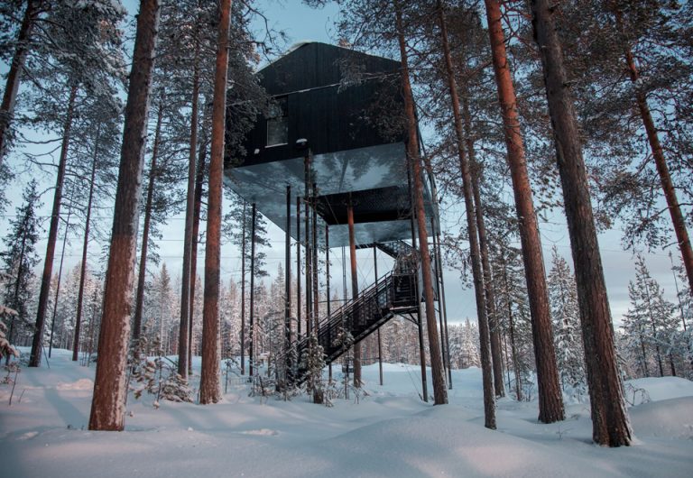 Tree Hotel : Northern Lights From A Treehouse In Lapland